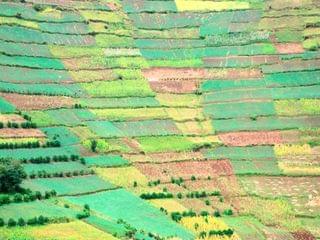 Learning Snack - Feldermodell