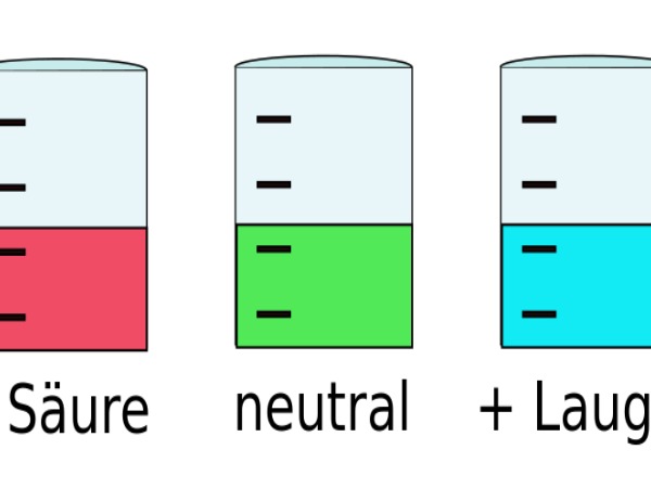 Reaktionsgleichungen Neutralisation
