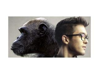 Unterschied zwischen Mensch und Tier