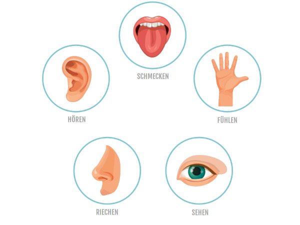 Unsere Sinne