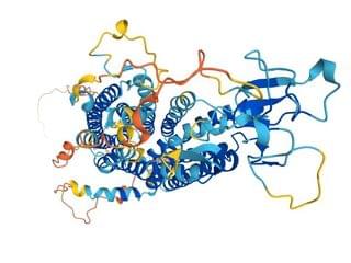 Bausteine und Raumstruktur der Proteine