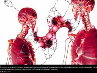 Organisationsebenen von Zellen