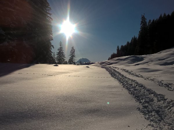 Rechnen im ZR 20