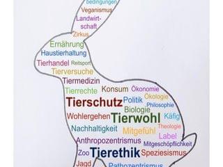 Was ist Tierethik?