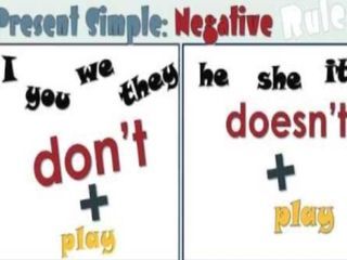 simple present - negative sentences