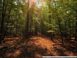 Integrative Validation