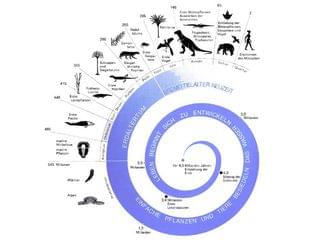 Evolution der Lebewesen