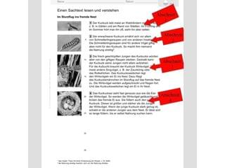 Sachtexte zusammenfassen